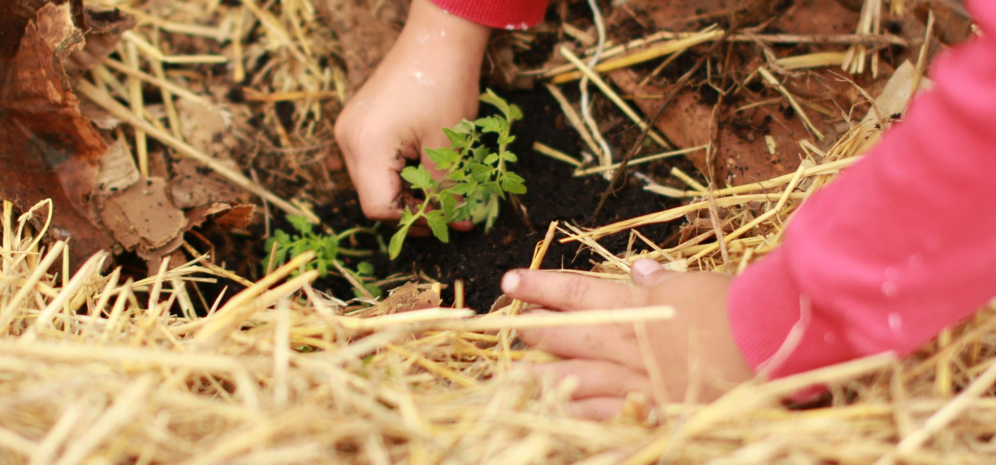 2025 - Authentic Education